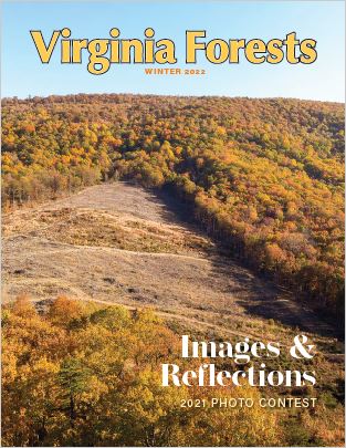 Virginia Forests Magazine